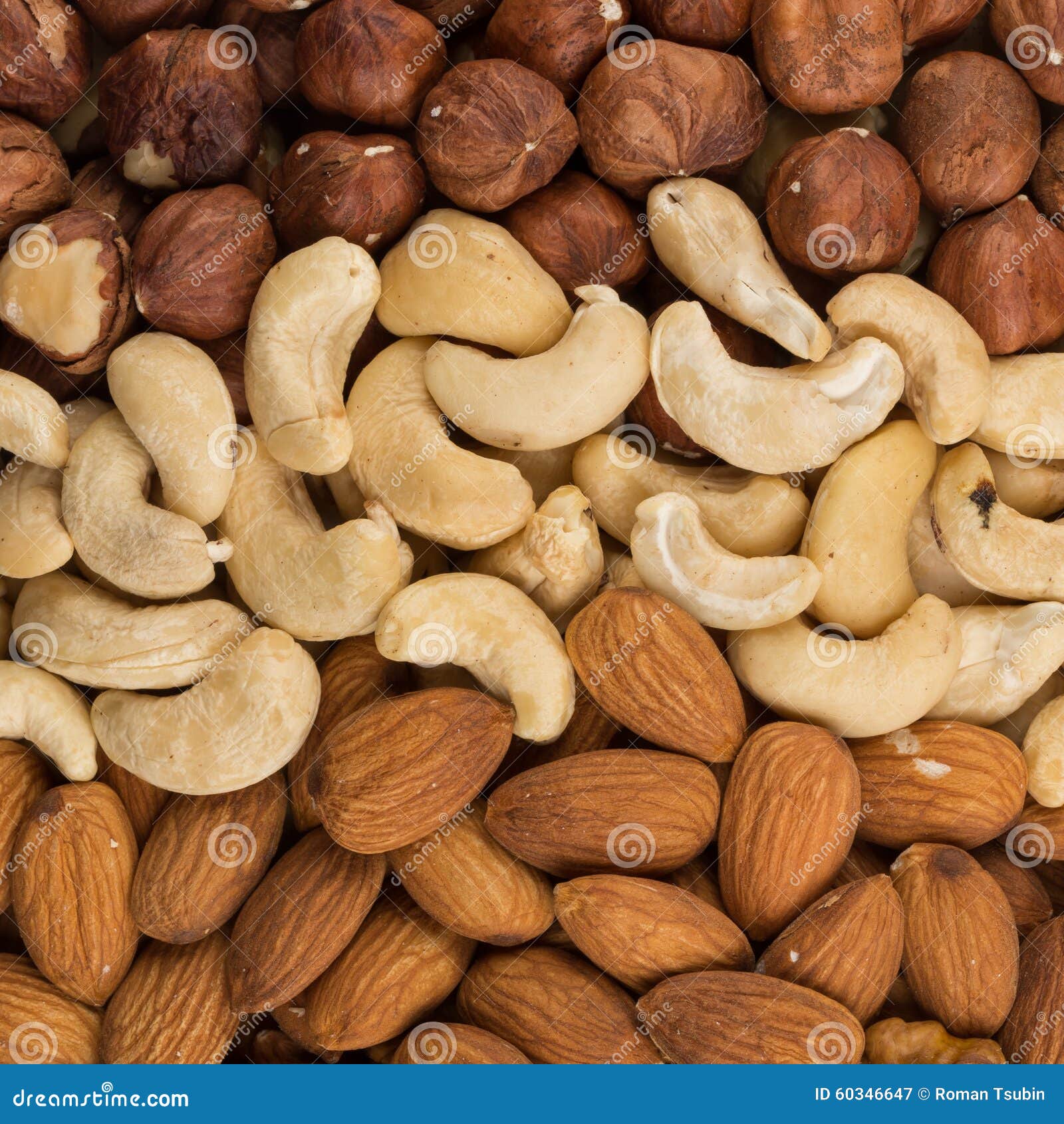 Mixed Nuts Background Above Closeup Stock Image - Image of mixture ...