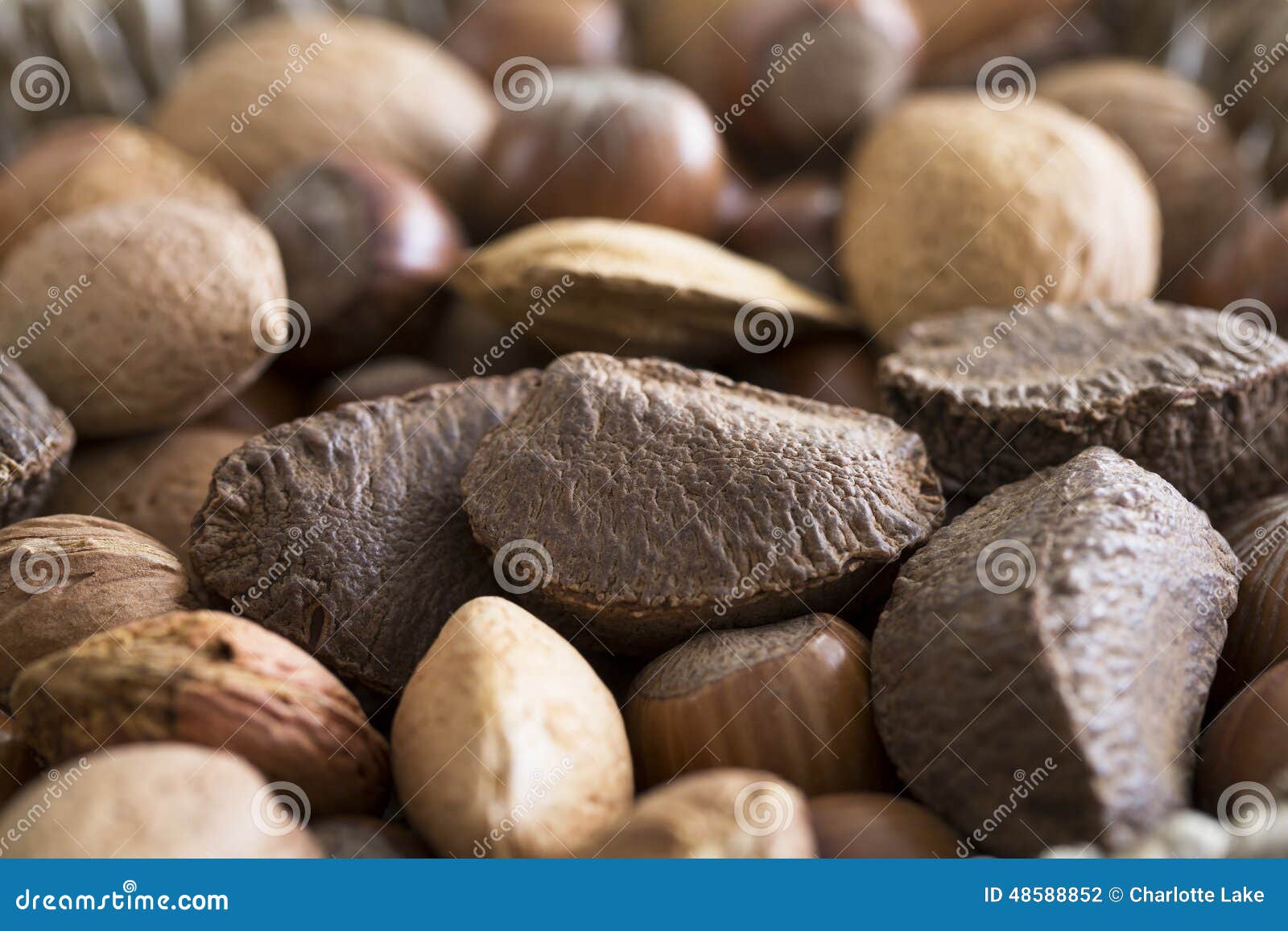 Mixed Nuts Close Up stock photo. Image of food, hazelnut - 48588852