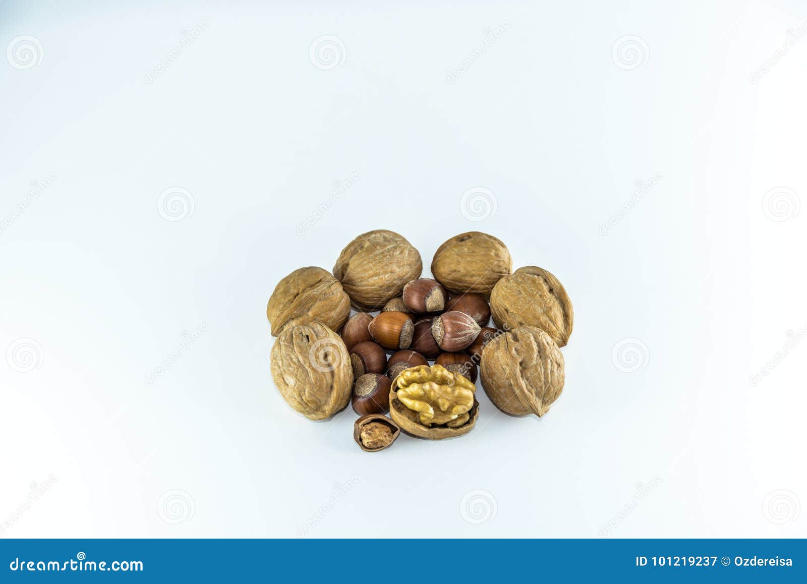 Mixed nuts stock image. Image of healthy, hazelnuts - 101219237