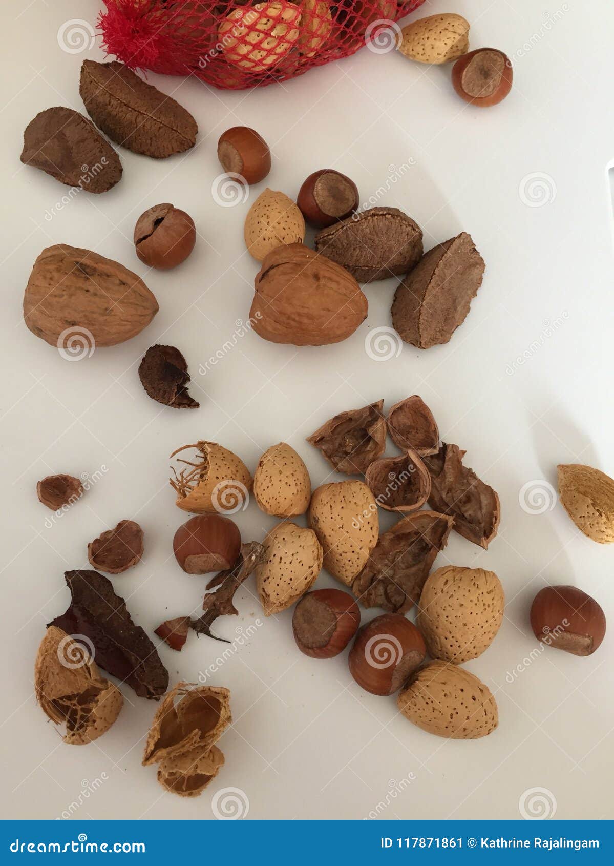Mixed Nuts stock image. Image of inedible, fruit, composed - 117871861
