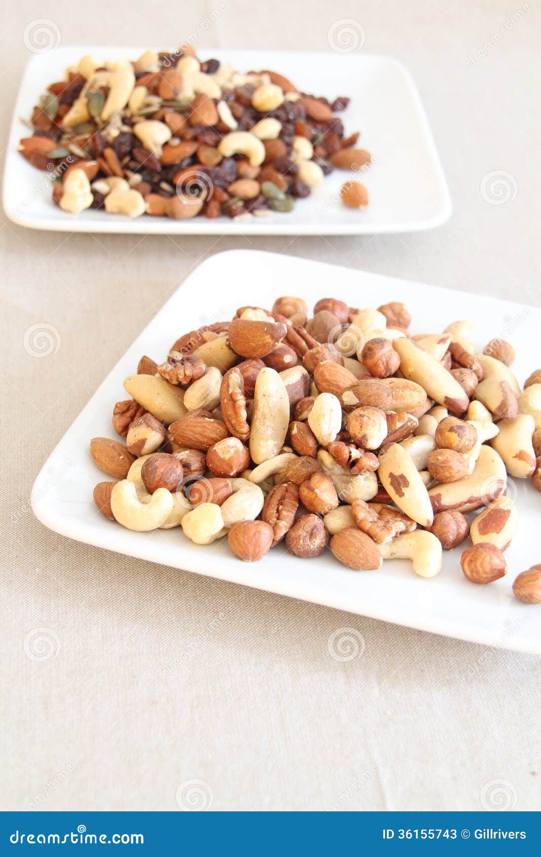 Mixed Nuts on a Plate stock image. Image of square, rasin - 36155743