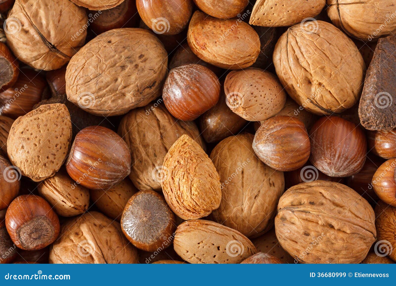 Mixed nuts stock image. Image of white, almonds, nuts - 36680999