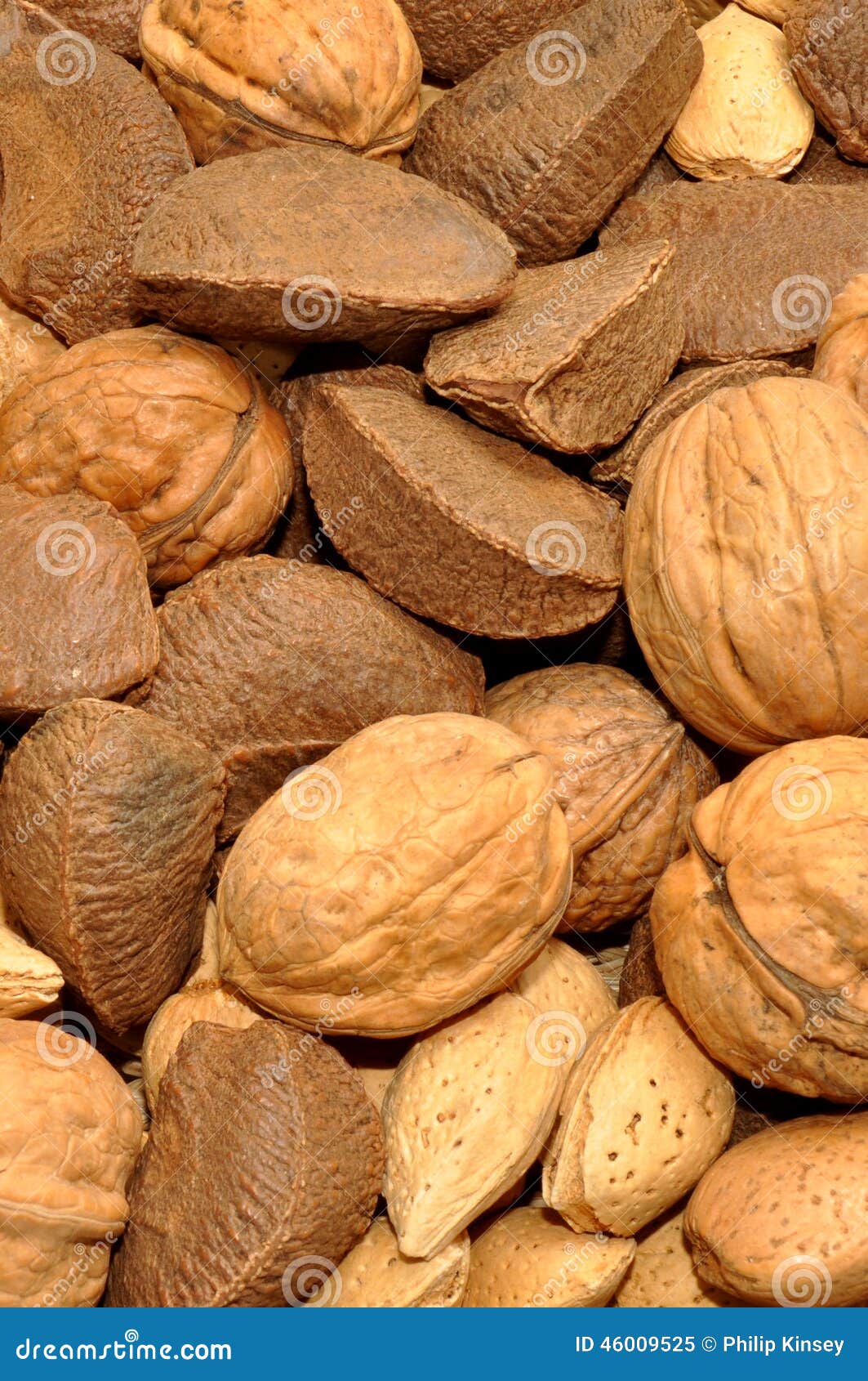 Mixed Nuts in Shells Background Stock Image - Image of almonds, natural ...