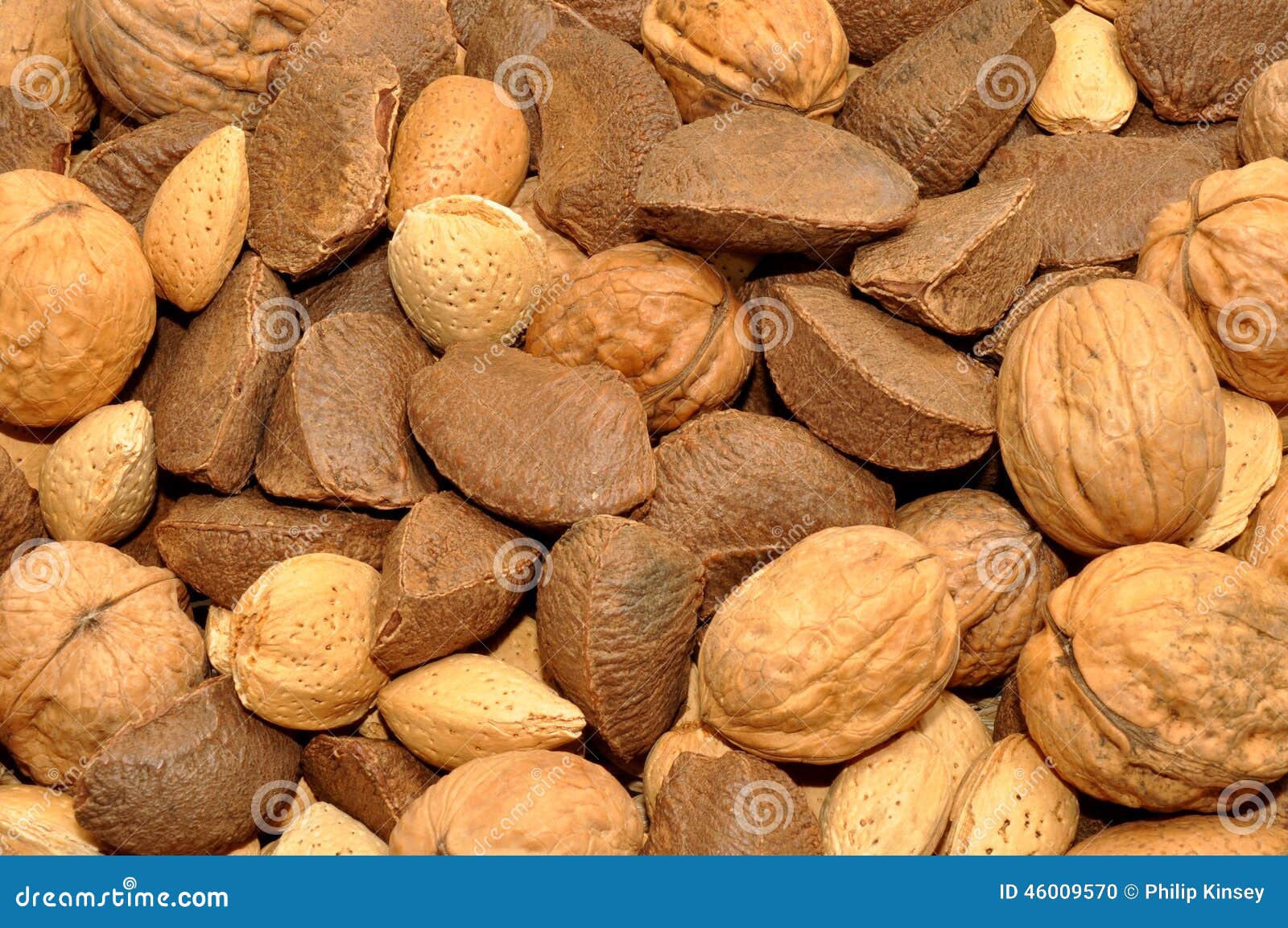 Mixed Nuts in Shells Background Stock Photo - Image of almonds, season ...