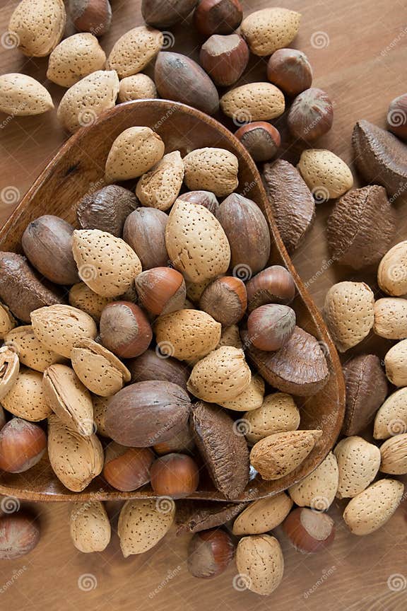 Mixed nuts in shells stock image. Image of hazelnut, nuts - 50343989