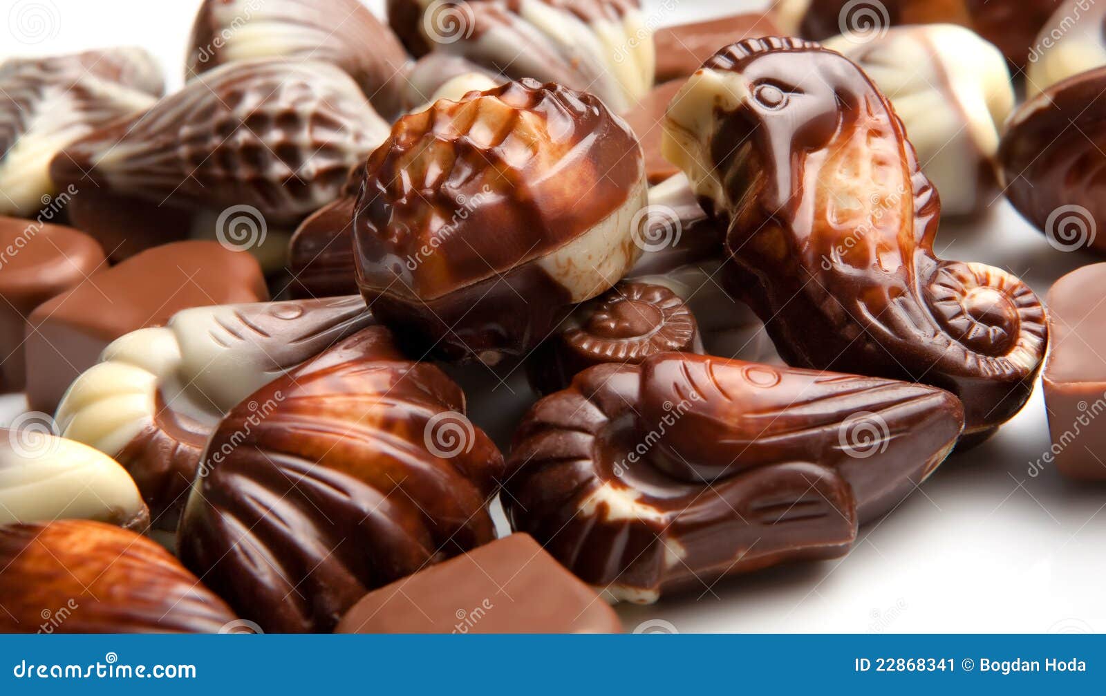 Mixed Pieces of Chocolate Seashell Candies Stock Image - Image of ...