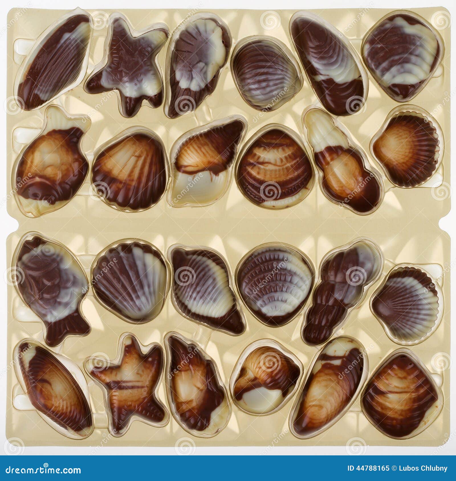 Mixed Pieces of Chocolate Seashell Candies Stock Image - Image of ...