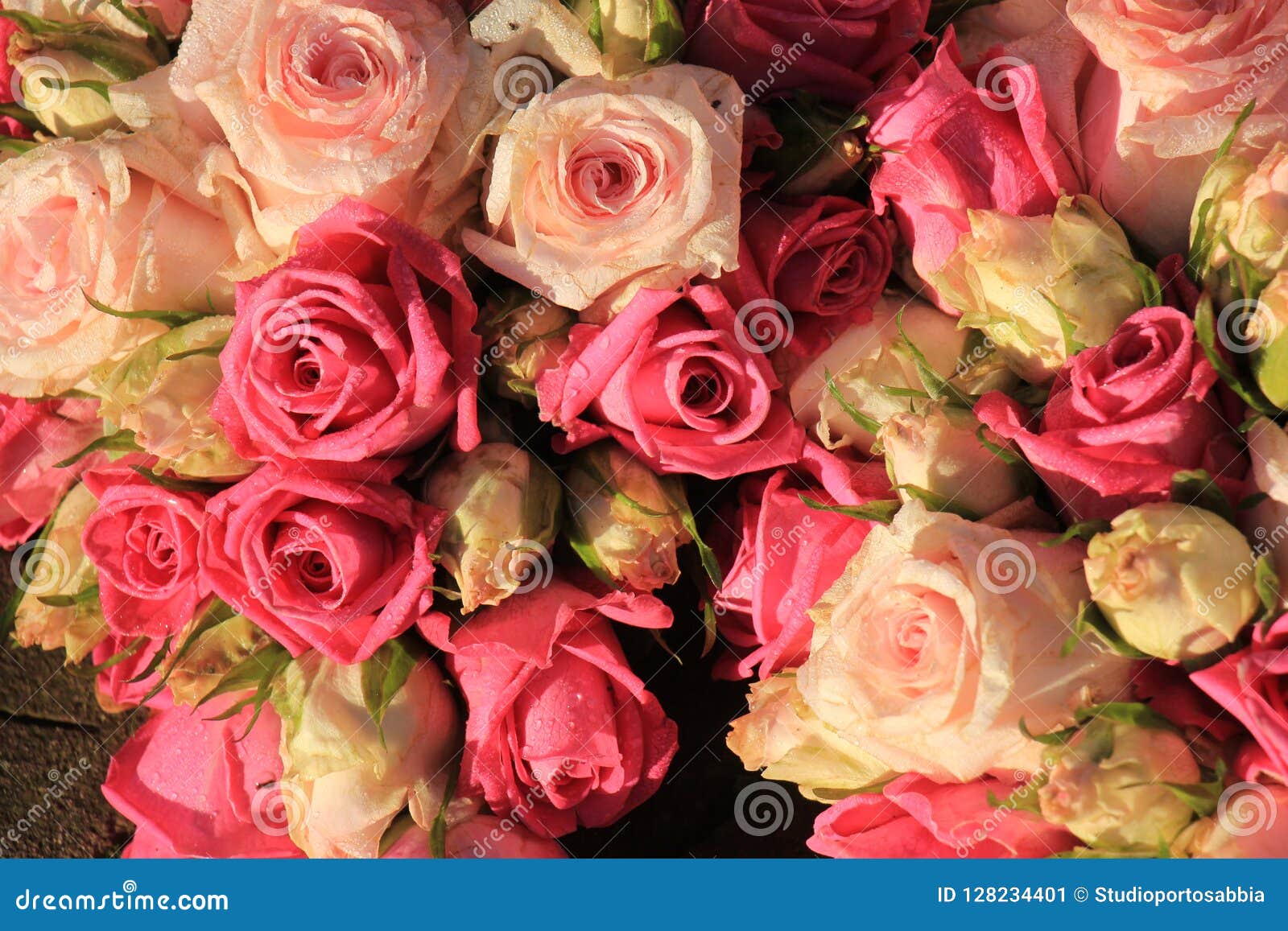 Mixed pink roses stock image. Image of floral, rose - 128234401