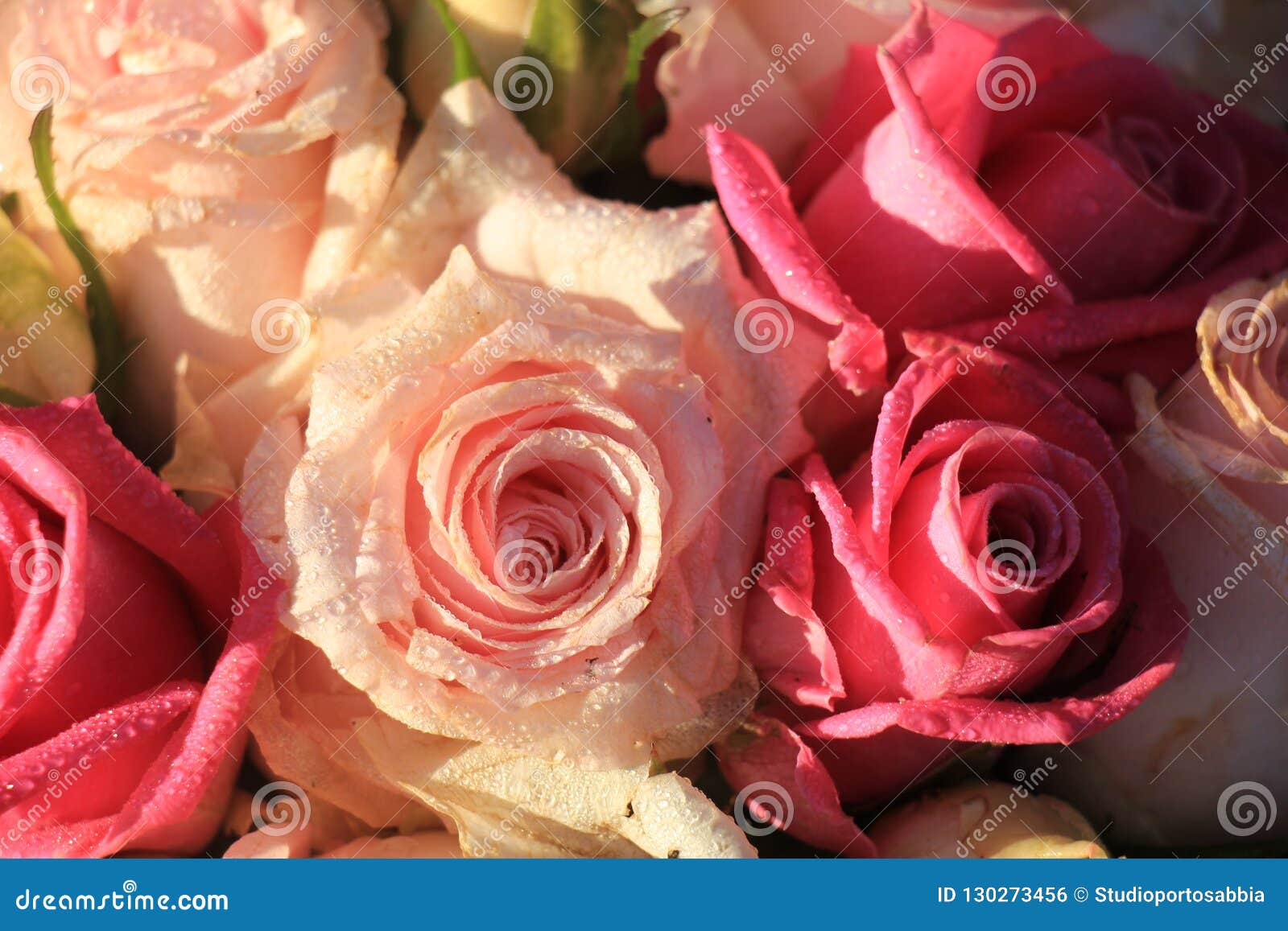 Mixed pink roses stock photo. Image of decorations, floral - 130273456