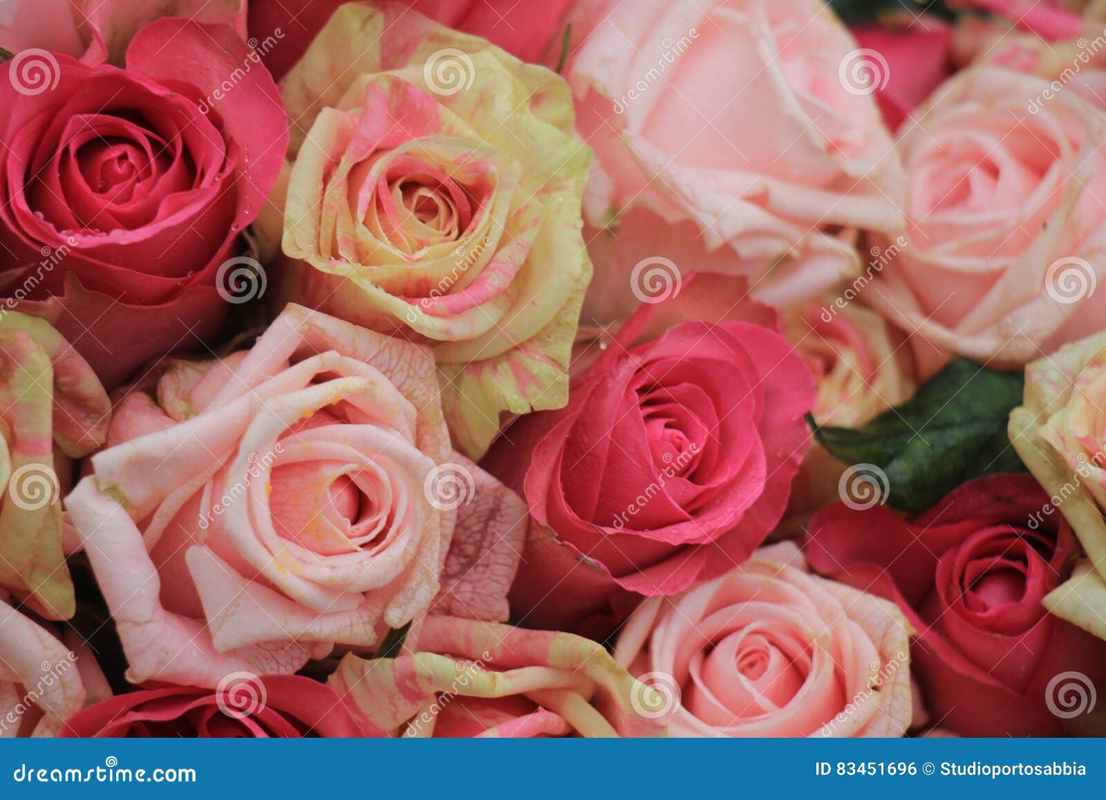 Mixed pink roses stock photo. Image of centerpiece, mixed - 83451696