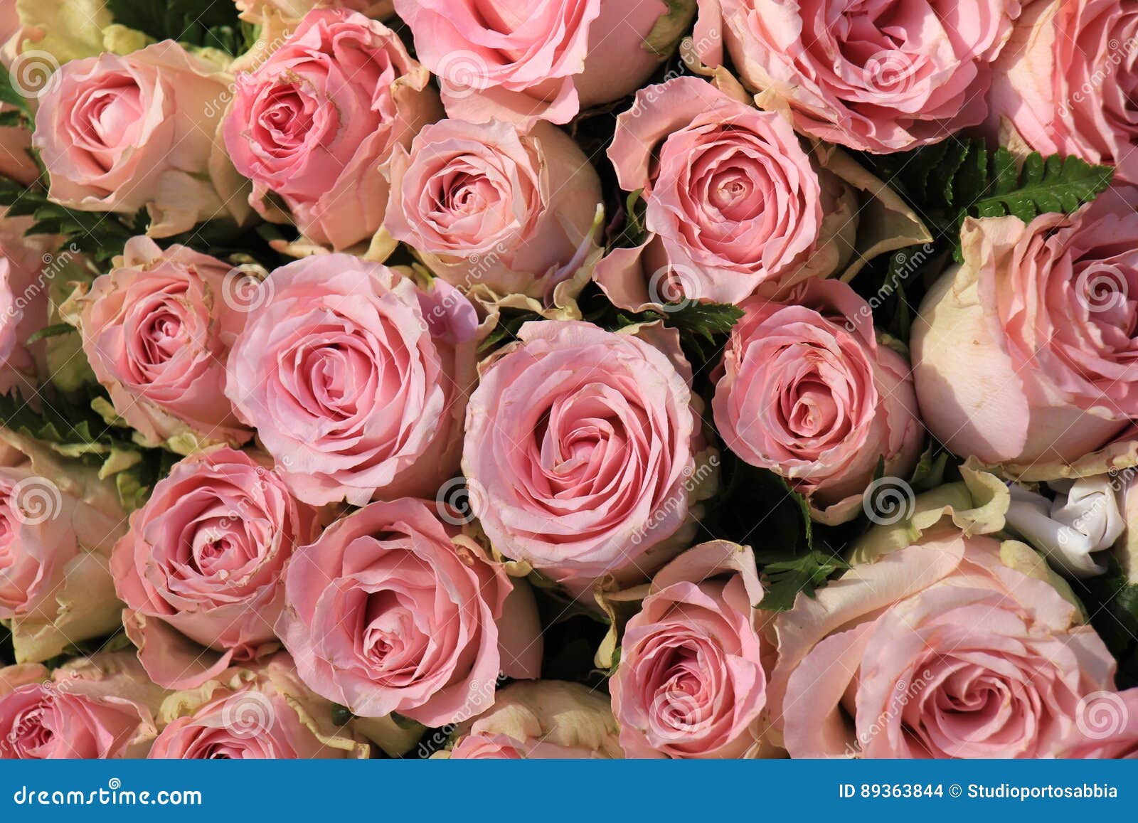Mixed pink roses stock photo. Image of rose, centerpiece - 89363844