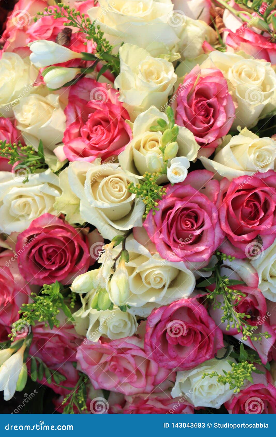 Mixed pink and white roses stock image. Image of arrangement - 143043683