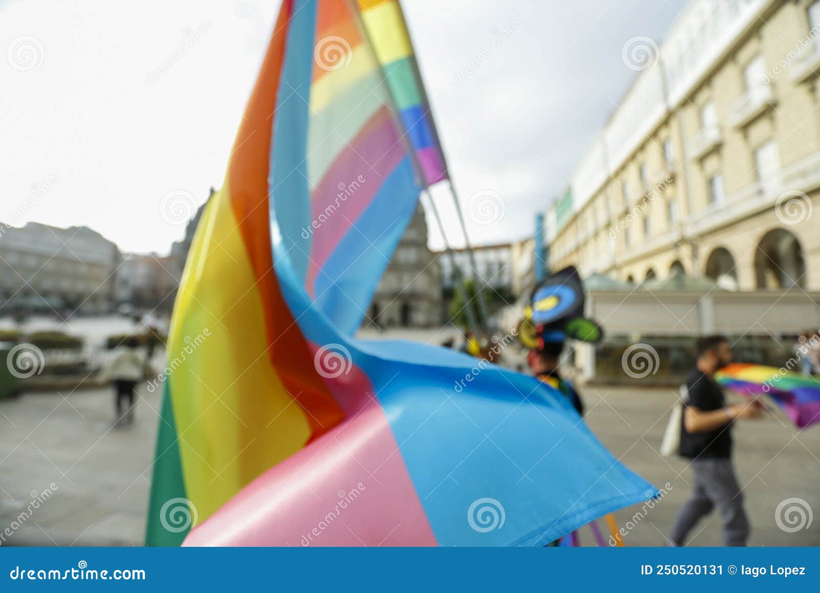Mixed Rainbow and Transgender Pride Flags Stock Image - Image of ...