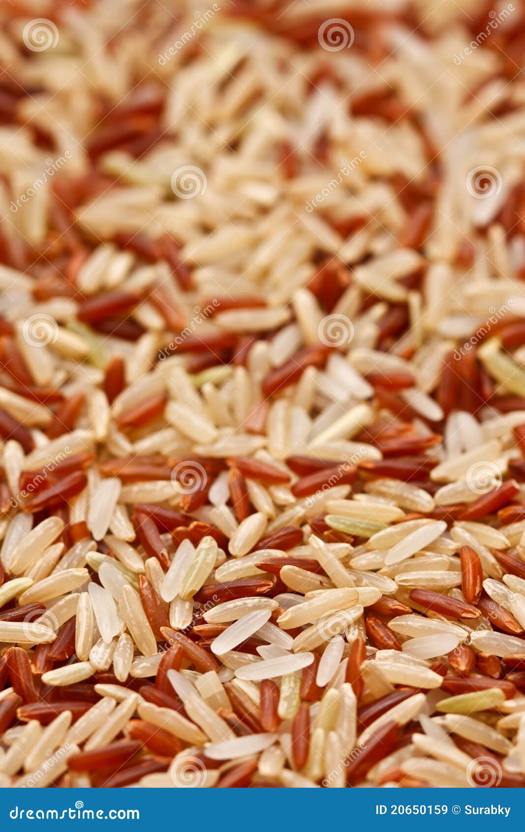 Mixed rice grain stock image. Image of multi, closeup - 20650159