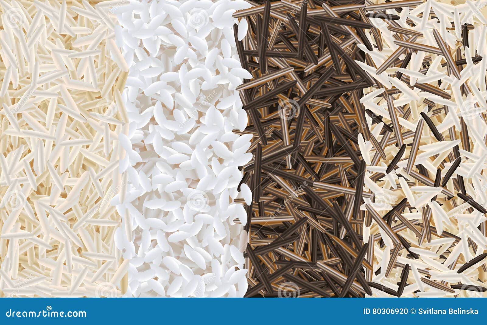 Mixed Rice Pattern Vector Illustration Stock Vector - Illustration of ...