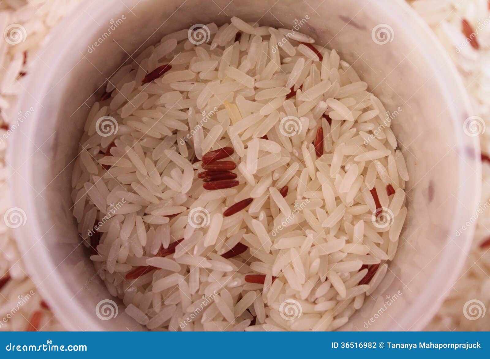 Mixed Rice stock photo. Image of grain, cooking, groats - 36516982