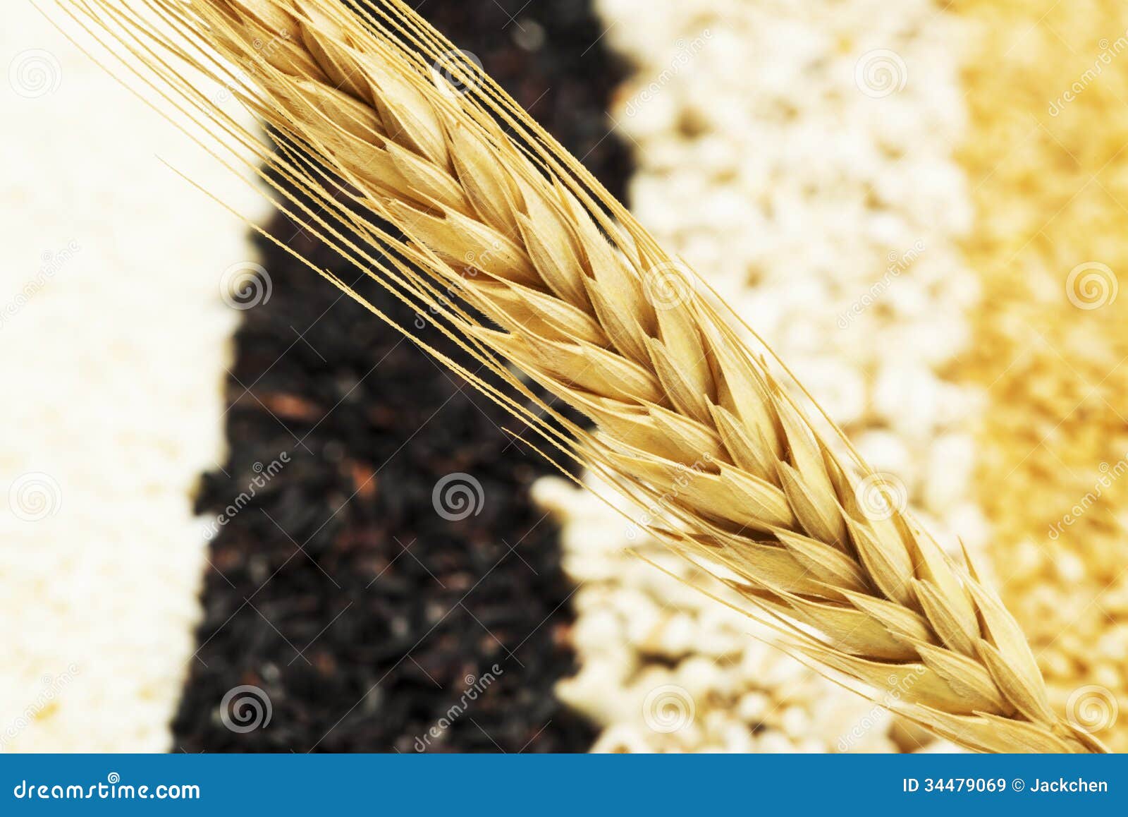 Mixed rices and wheat stock image. Image of stripe, vitamins - 34479069
