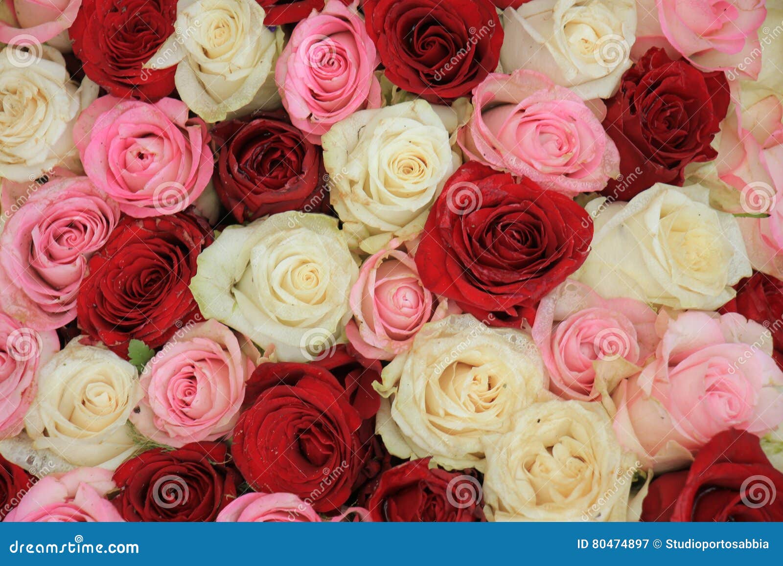 Mixed rose bouquet stock image. Image of nature, rose - 80474897