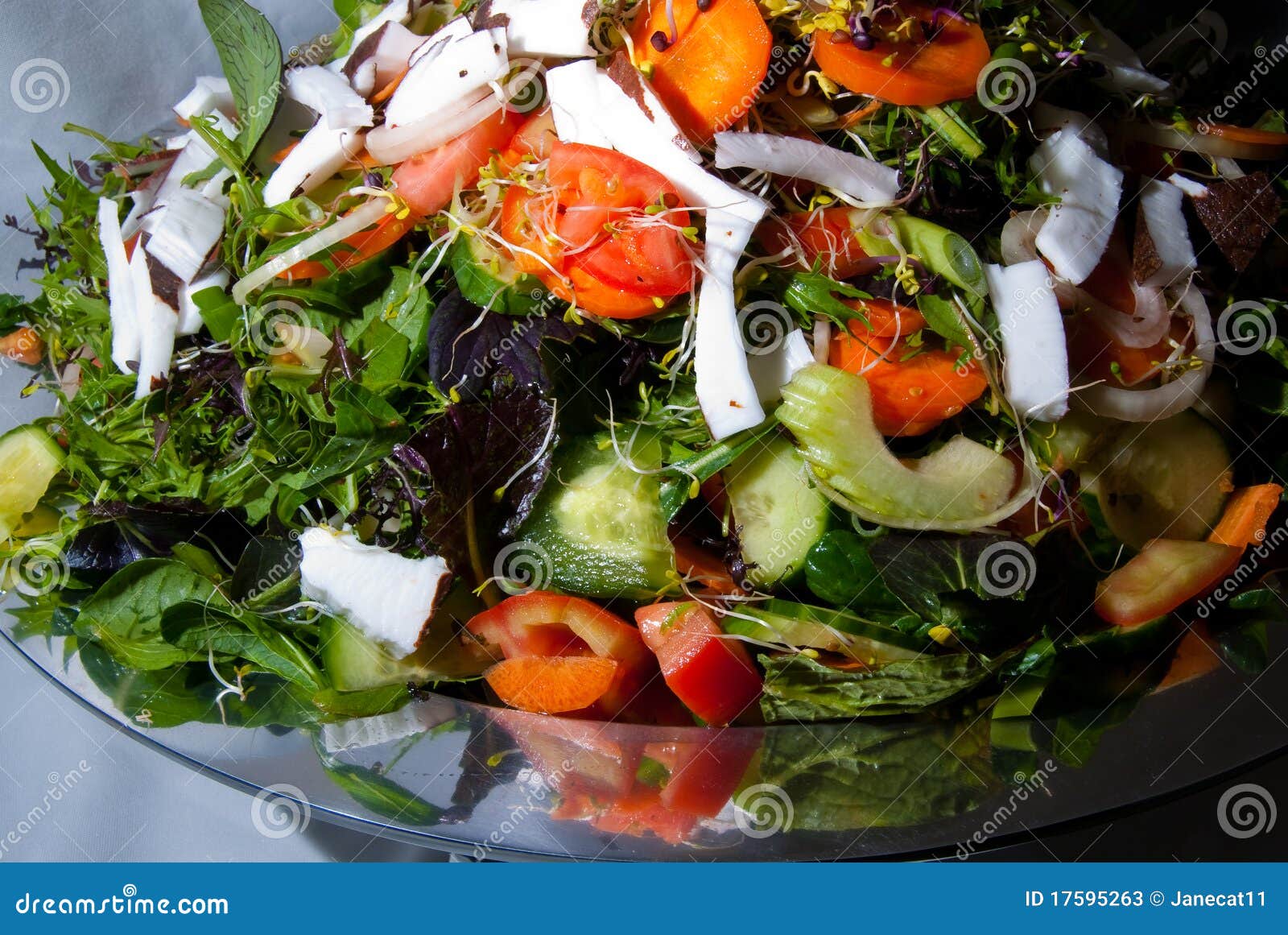 Mixed Salad stock image. Image of sprouts, onions, healthy - 17595263