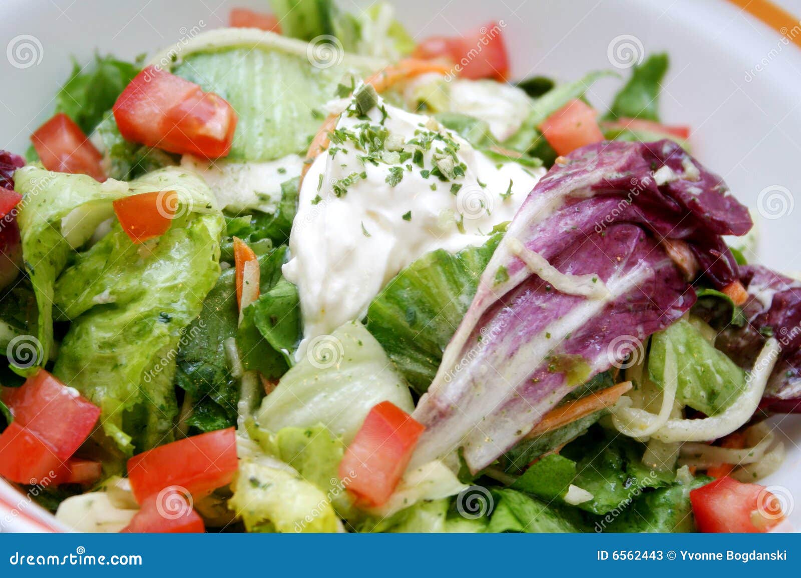 Mixed salad stock image. Image of radicchio, dinner, salad - 6562443