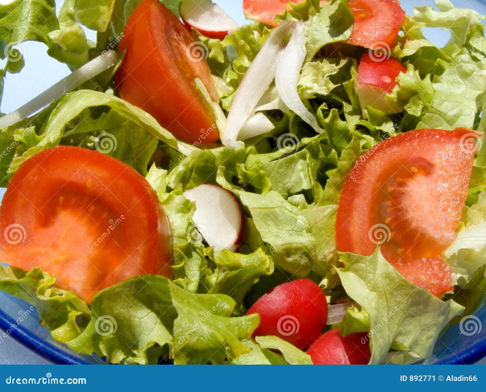 Mixed salad stock image. Image of ruff, dish, horizontal - 892771