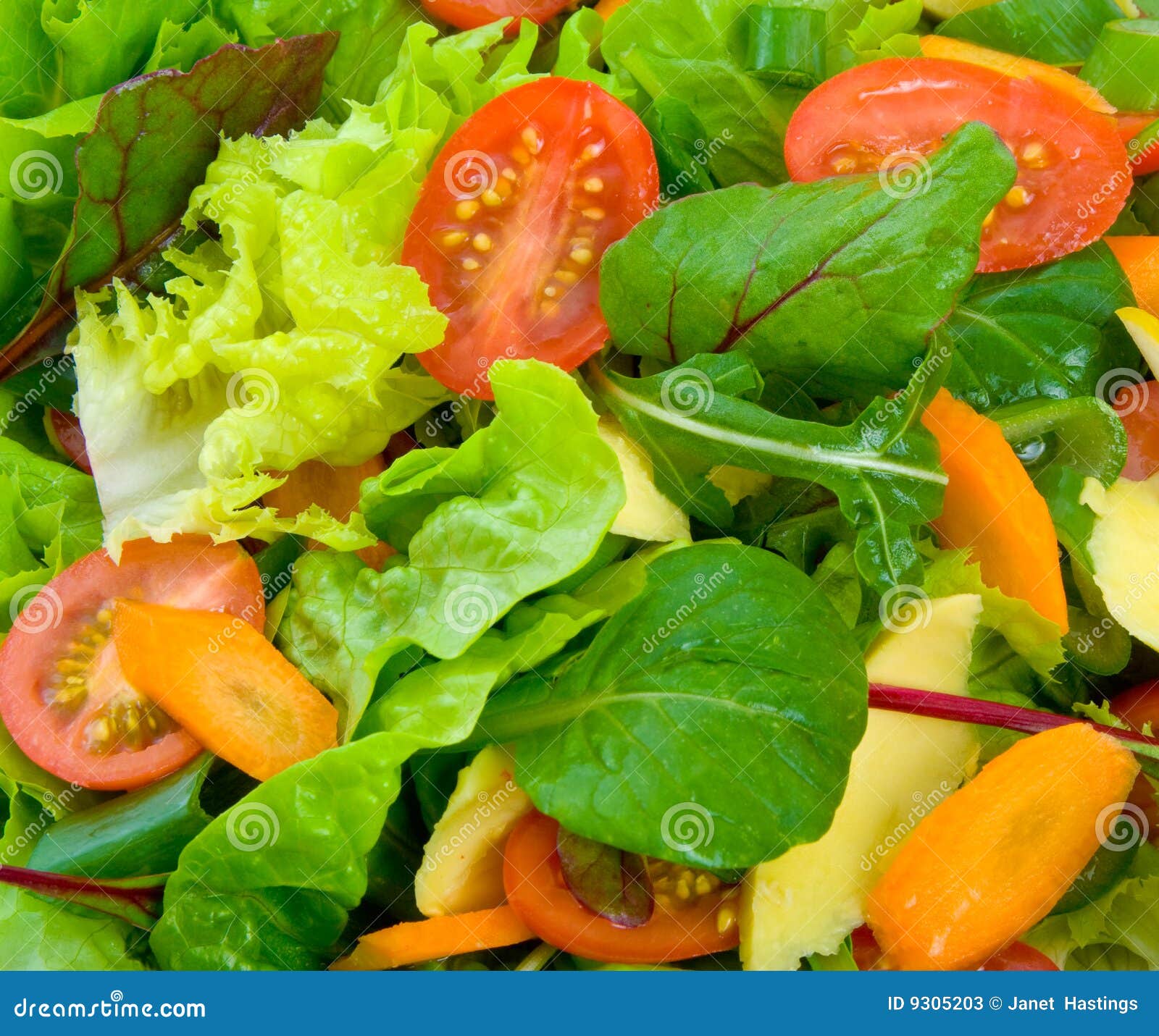 Mixed Salad stock image. Image of snack, fresh, plate - 9305203