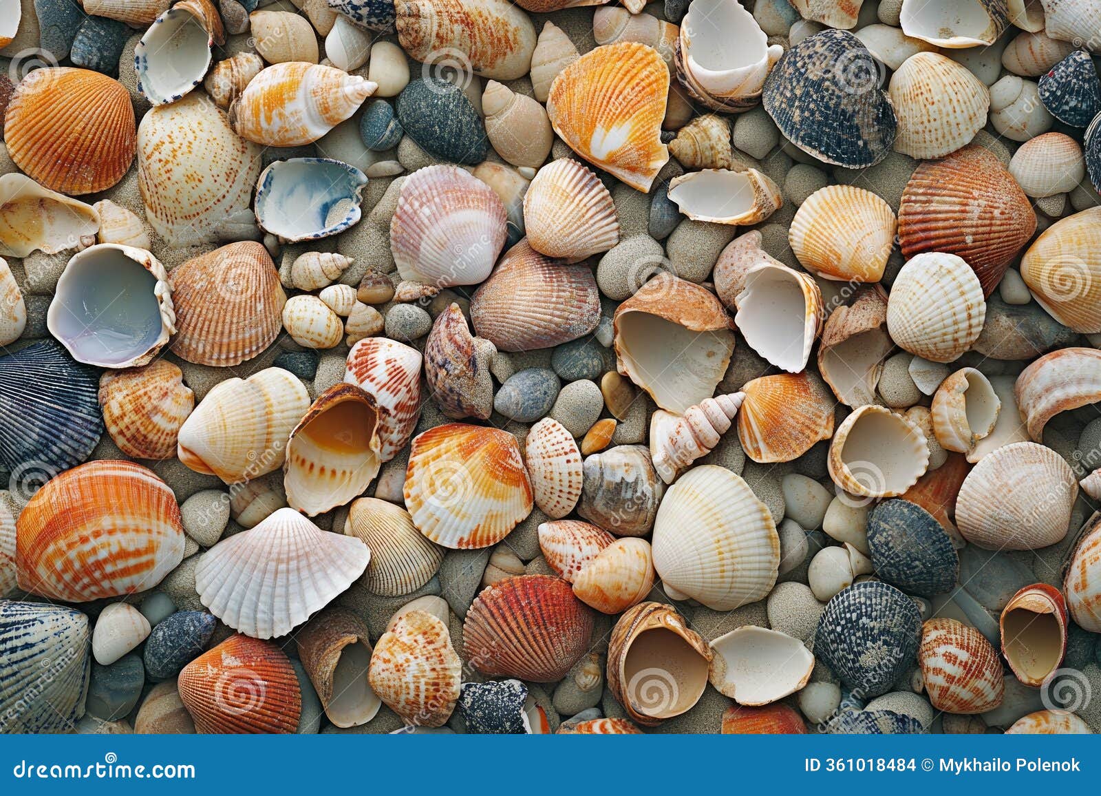 Mixed Seashells on Soft White Surface. Neural Network AI Generated ...