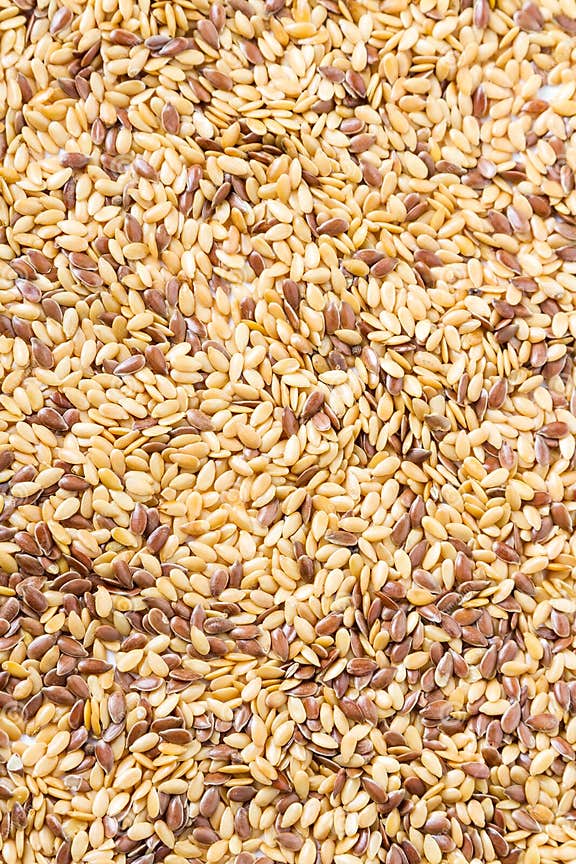 Mixed seeds linseed stock photo. Image of little, healthy - 145282332