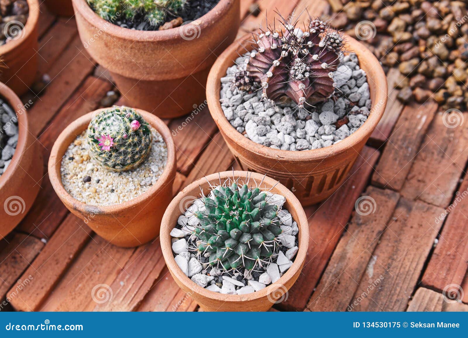 Mixed Houseplants Pots Photos - Free & Royalty-Free Stock Photos from ...
