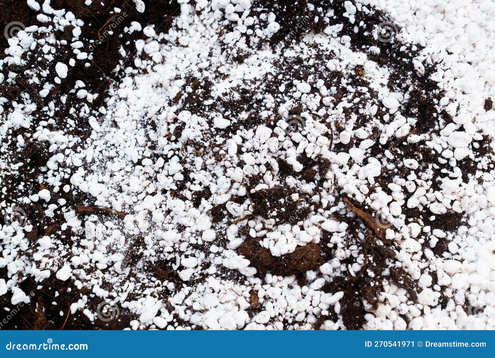 Perlite, A Volcanic Glass Mineral With Low Density Often Used For Soil ...