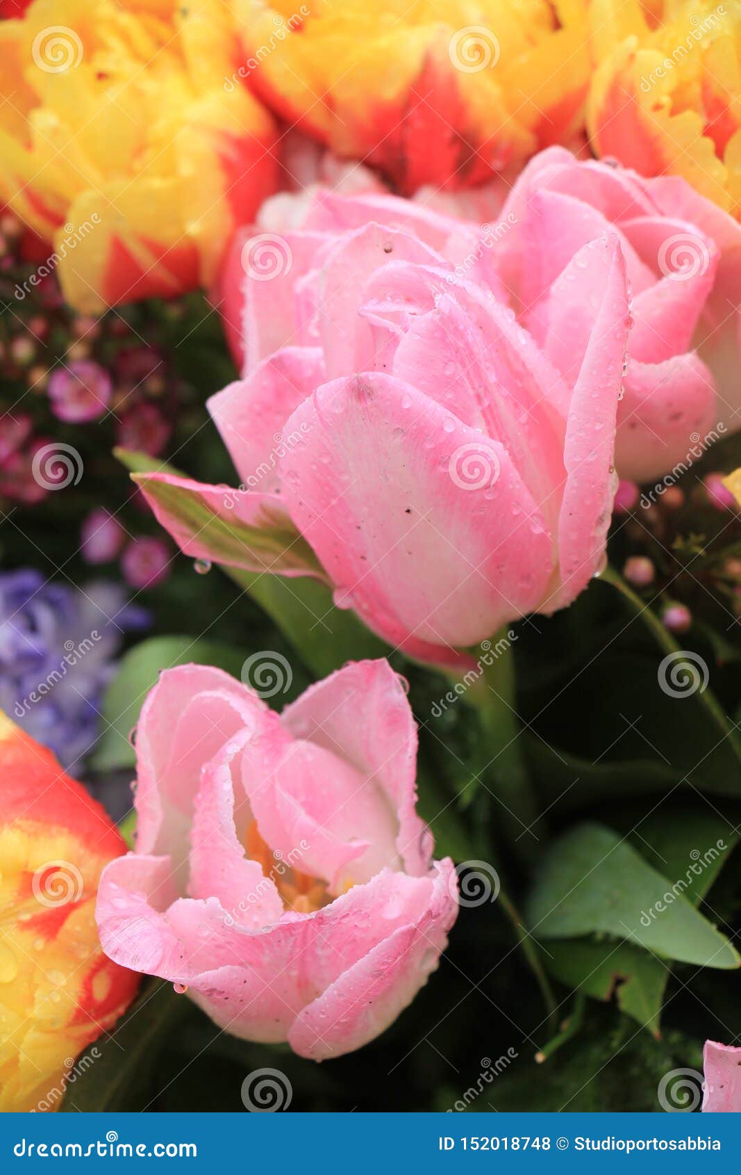Mixed Spring Flower Bouquet Stock Photo - Image of flowers, pink: 152018748
