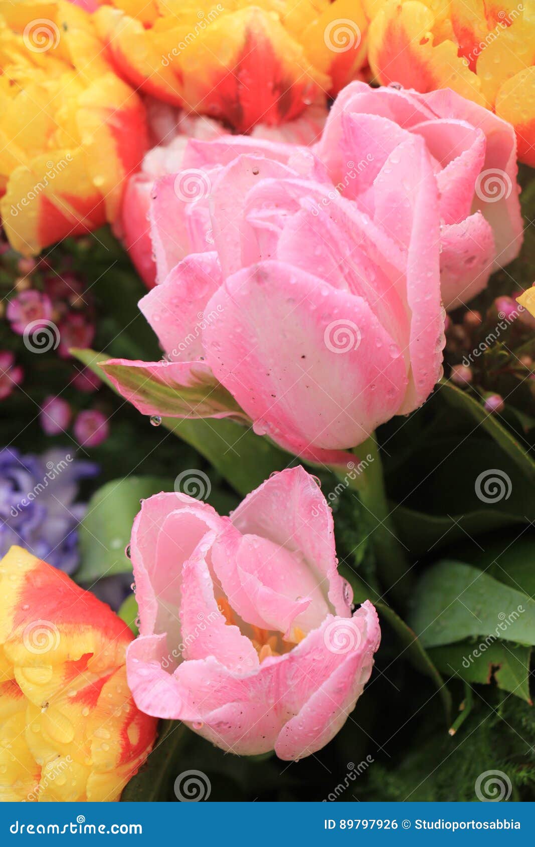 Mixed Spring Flower Bouquet Stock Photo - Image of easter, color: 89797926