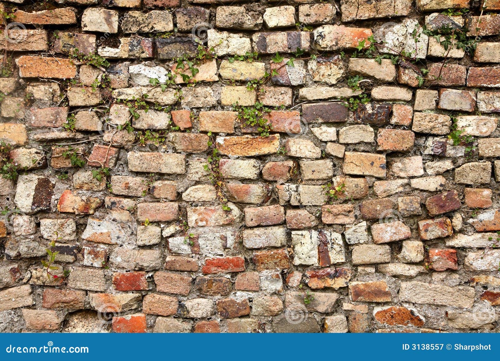A Mixed Stone and Bricks Wall. Stock Image - Image of green, bricks ...