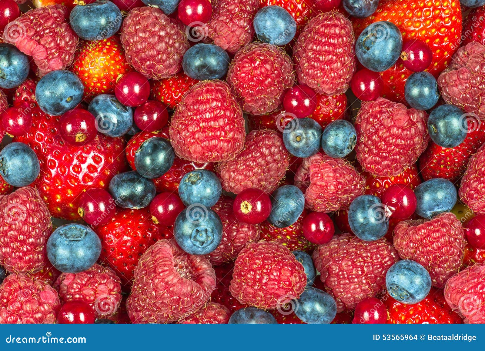 Mixed Summer Berries Background Stock Photo - Image of natural, lots ...