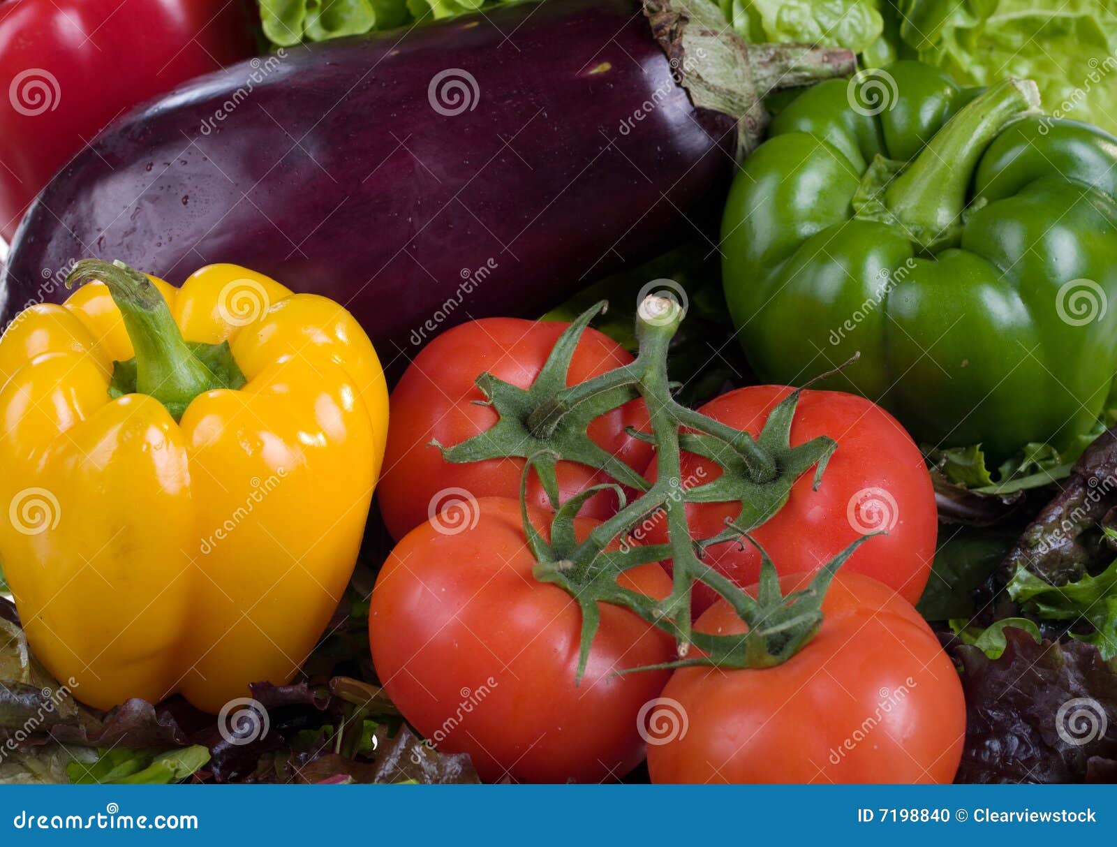 Mixed vegetables stock photo. Image of tomatoes, salad - 7198840