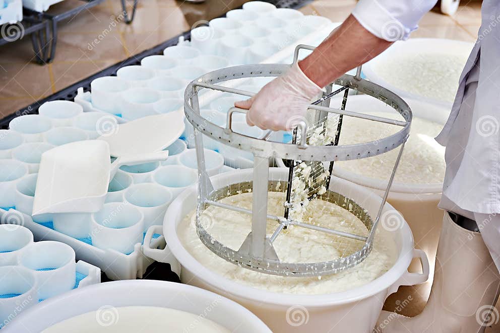 Mixing Cheese Material for the Production of Camembert Stock Image ...