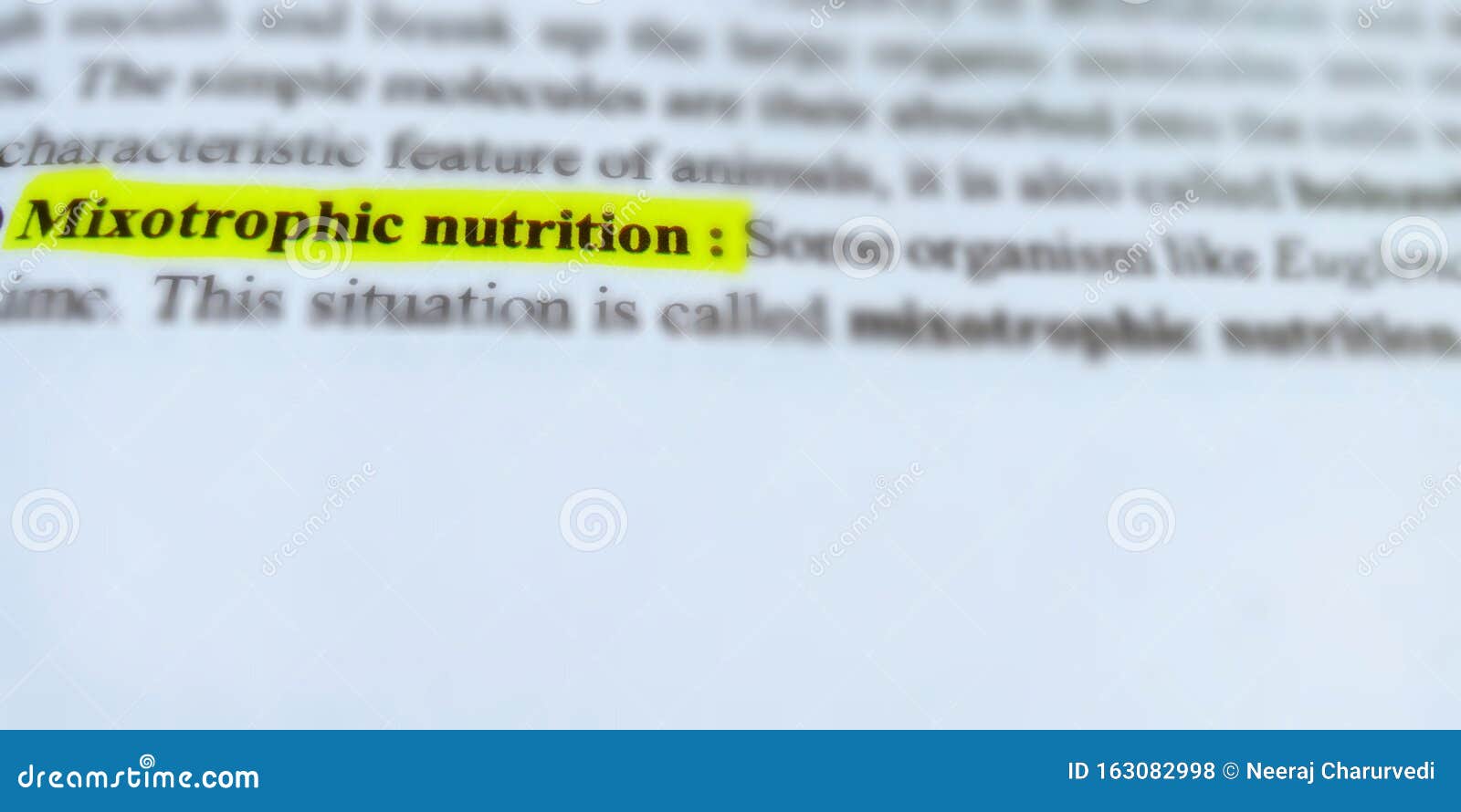 Mixotrophic Nutrition Displayed on Yellow Highlighted Pattern Stock ...