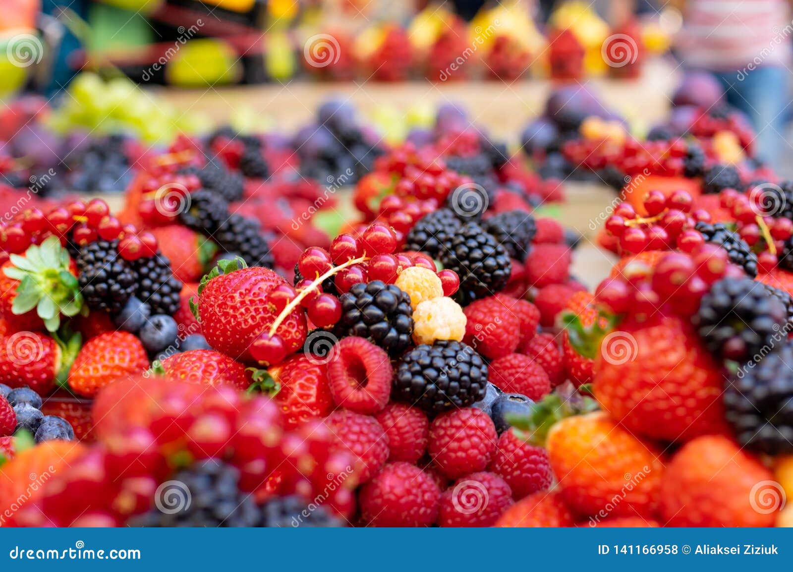 A Mixture of Berries, Close-up, Background Stock Photo - Image of ...