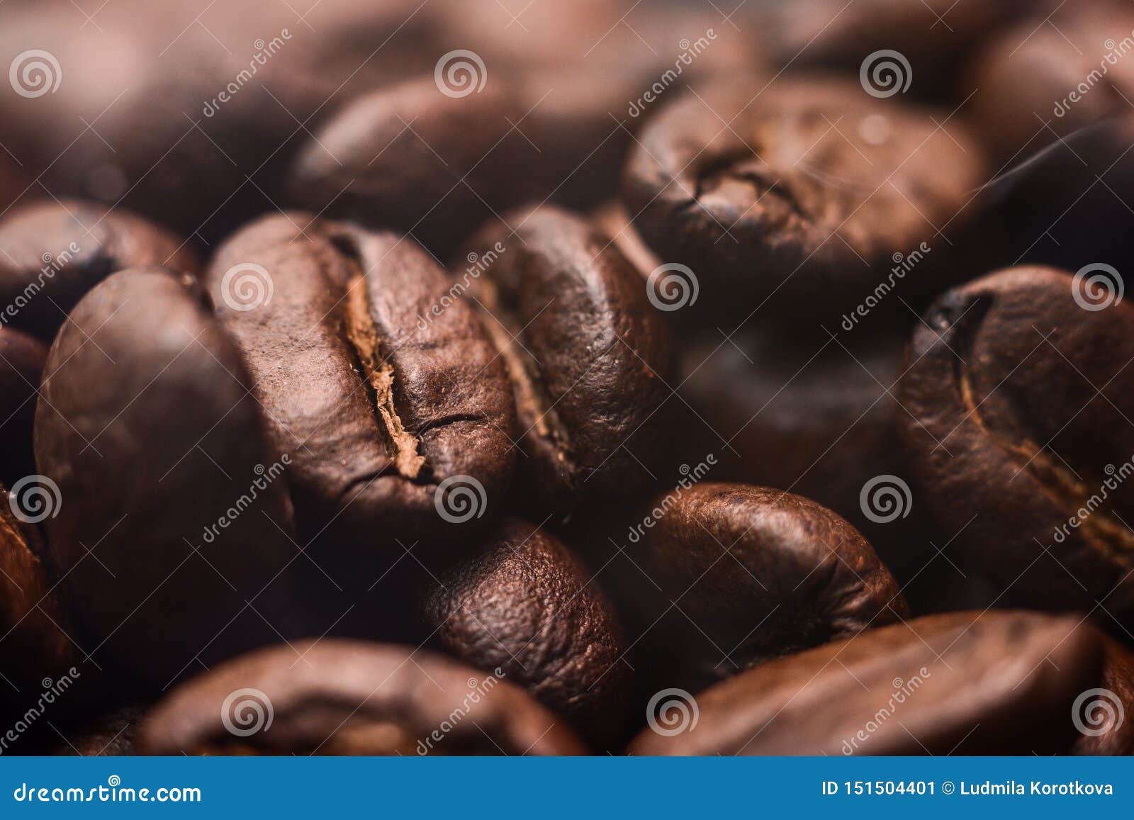 Mixture of Different Kinds of Coffee Beans. Stock Image - Image of ... Mixture of Different Kinds of Coffee Beans. Stock Image - Image of ...