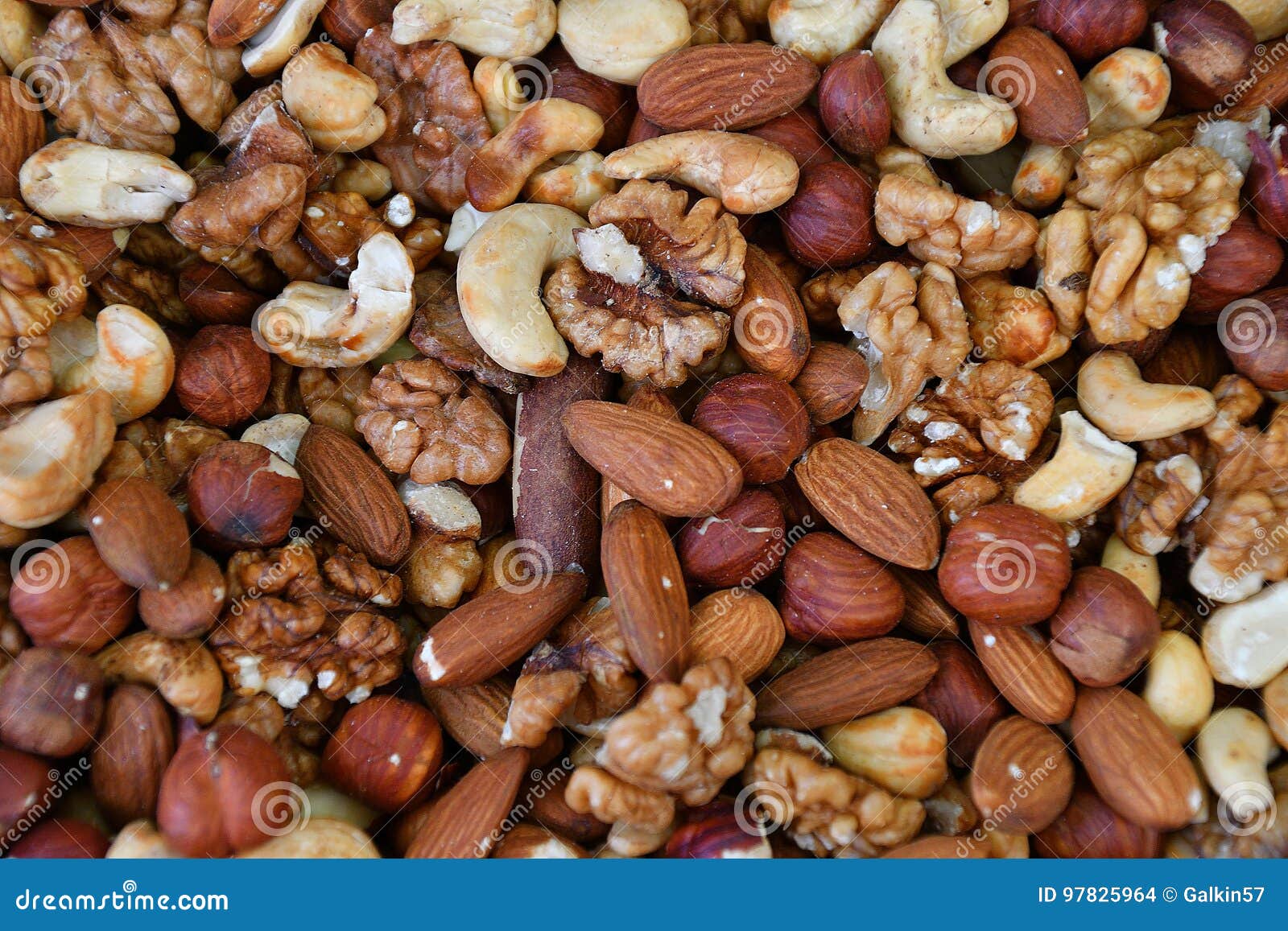 A mixture of dried nuts stock photo. Image of season - 97825964