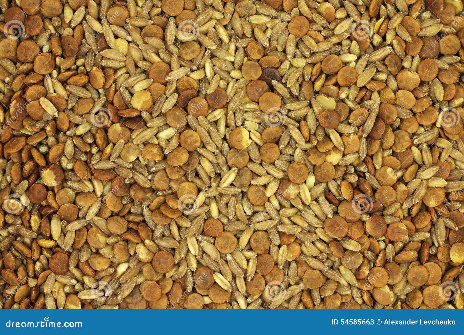 A Mixture of Grains and Cereals Grupy Background Stock Image - Image of ...