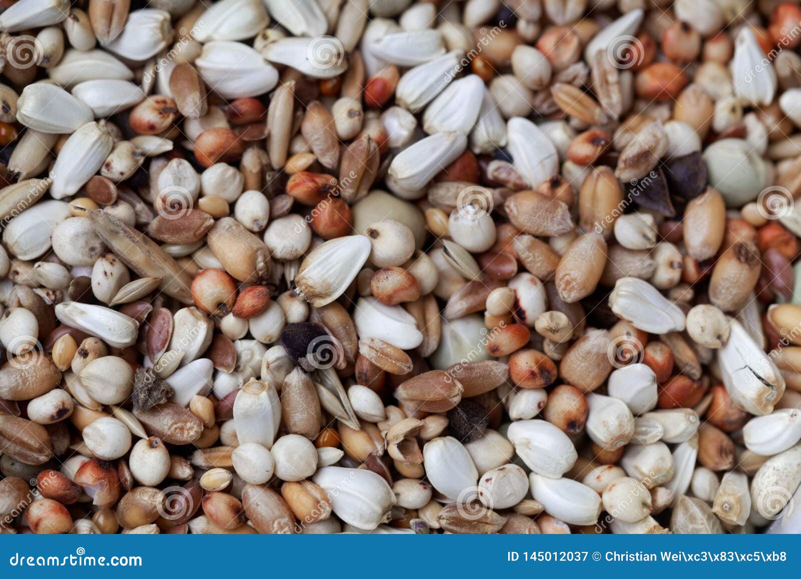 Mixture of Grains and Seeds Stock Image - Image of grain, brown: 145012037
