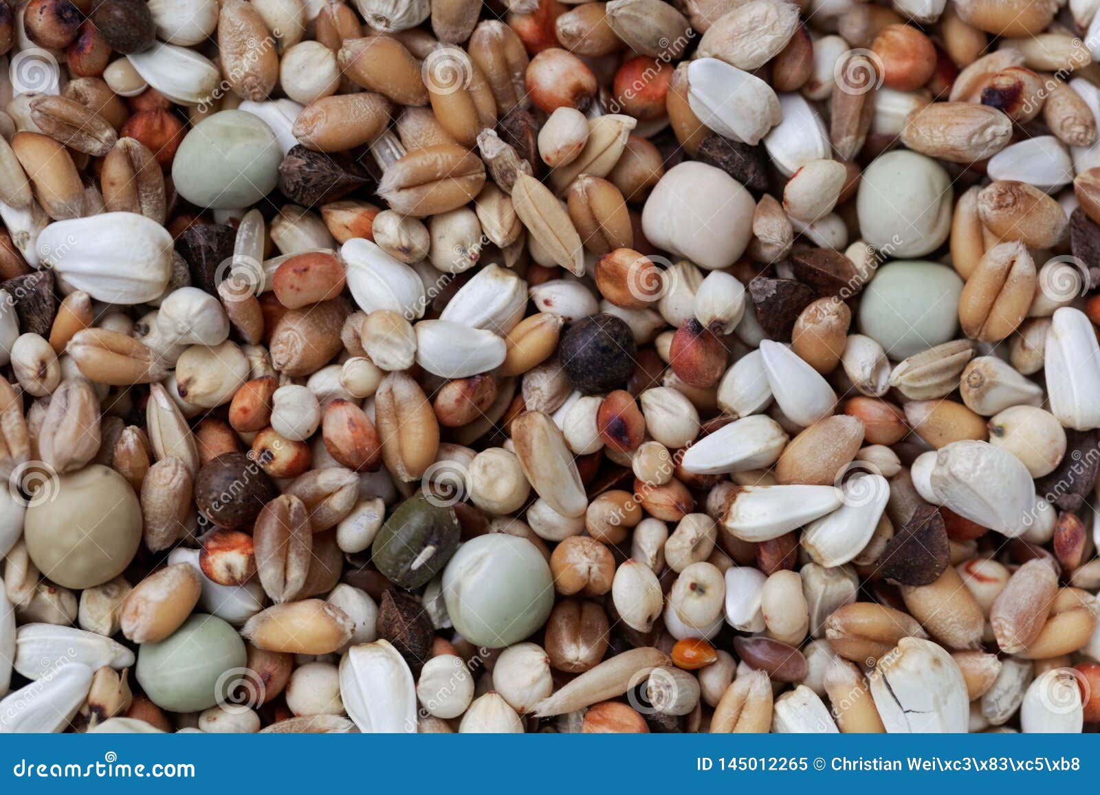 Mixture of Grains and Seeds Stock Image - Image of assortment ...