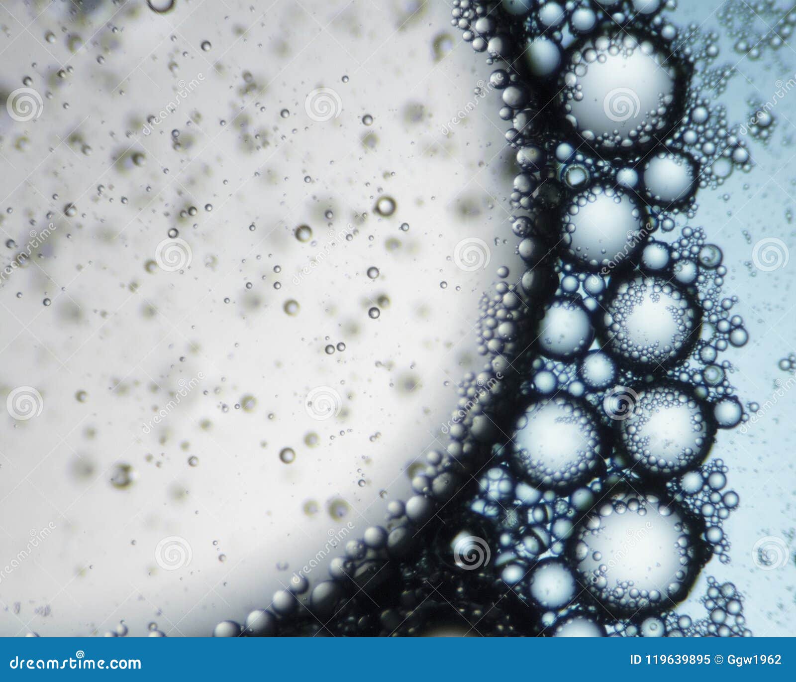 Soap Mixed with Oil and Water Stock Image - Image of hygiene, nature ...