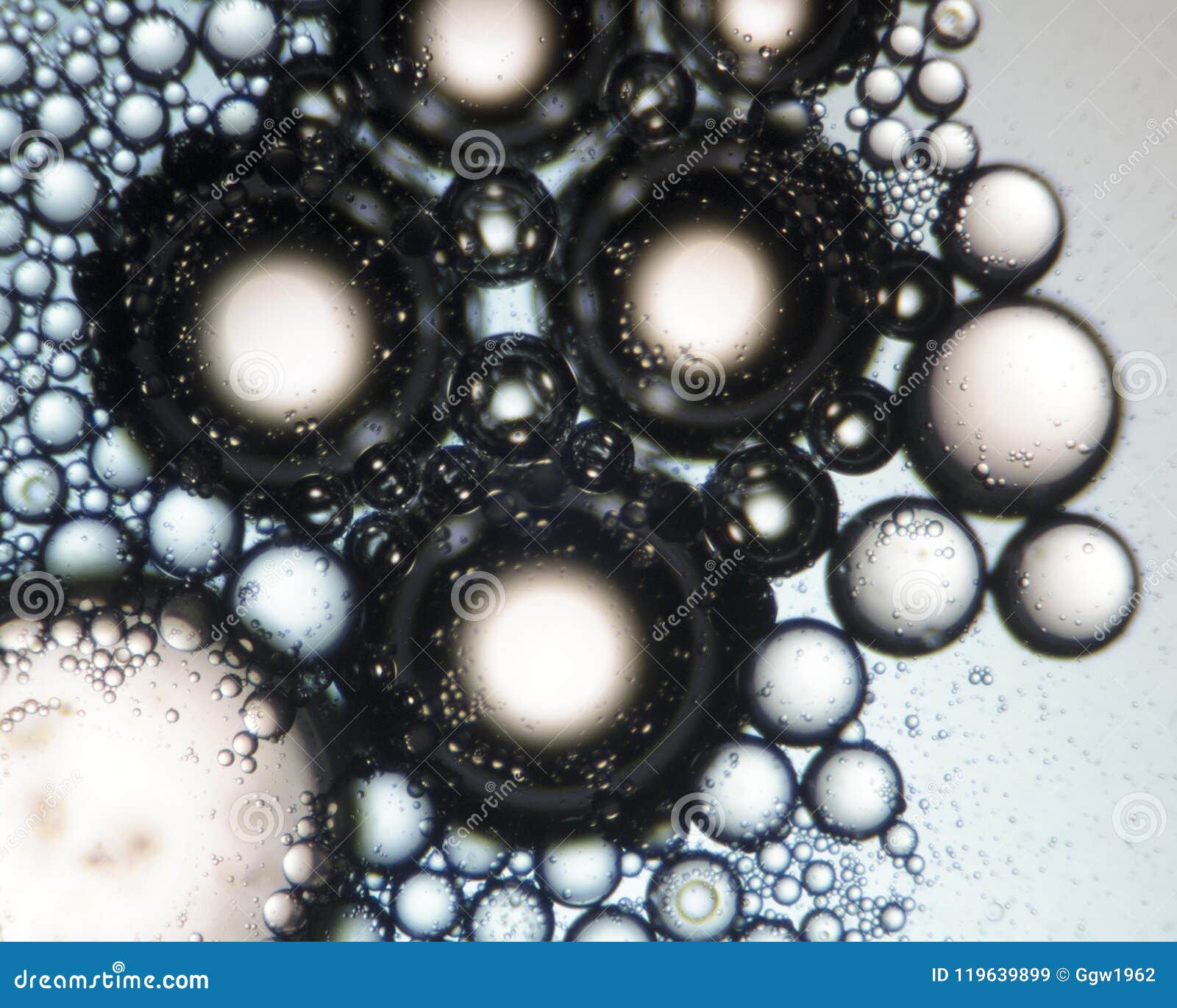 Soap Mixed with Oil and Water Stock Image - Image of drops, industrial ...
