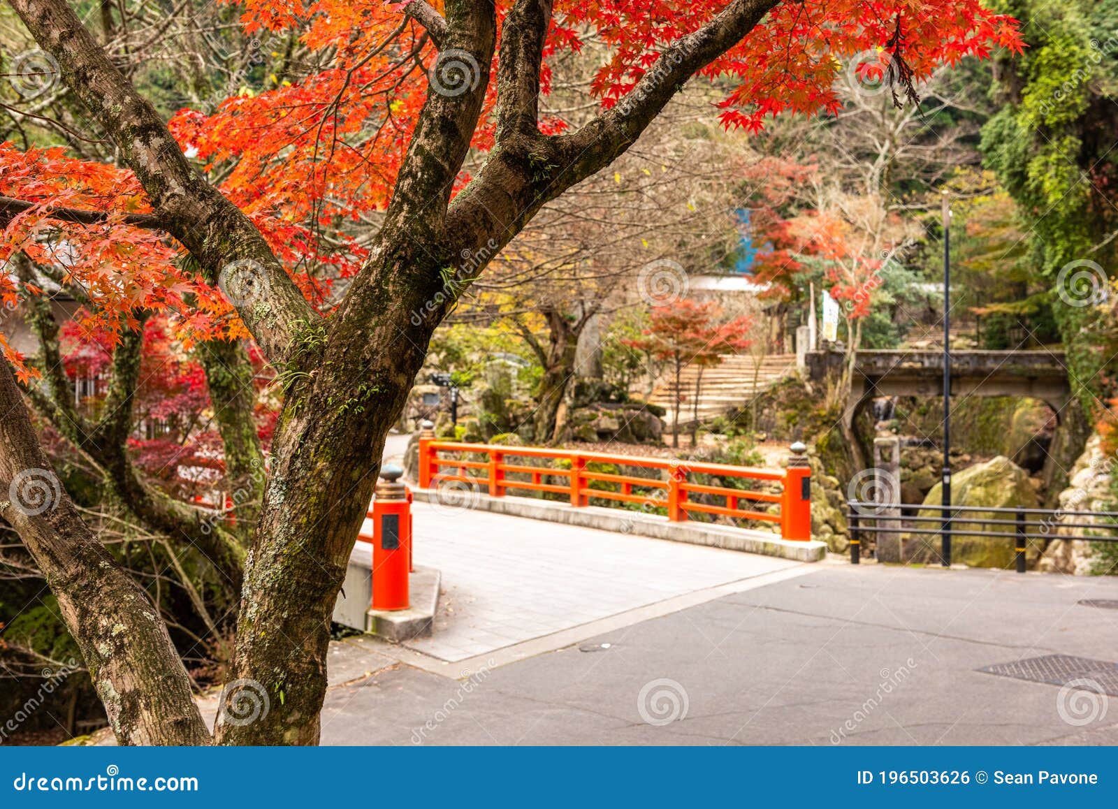 Miyajima, Hiroshima, Japan stock photo. Image of japan - 196503626