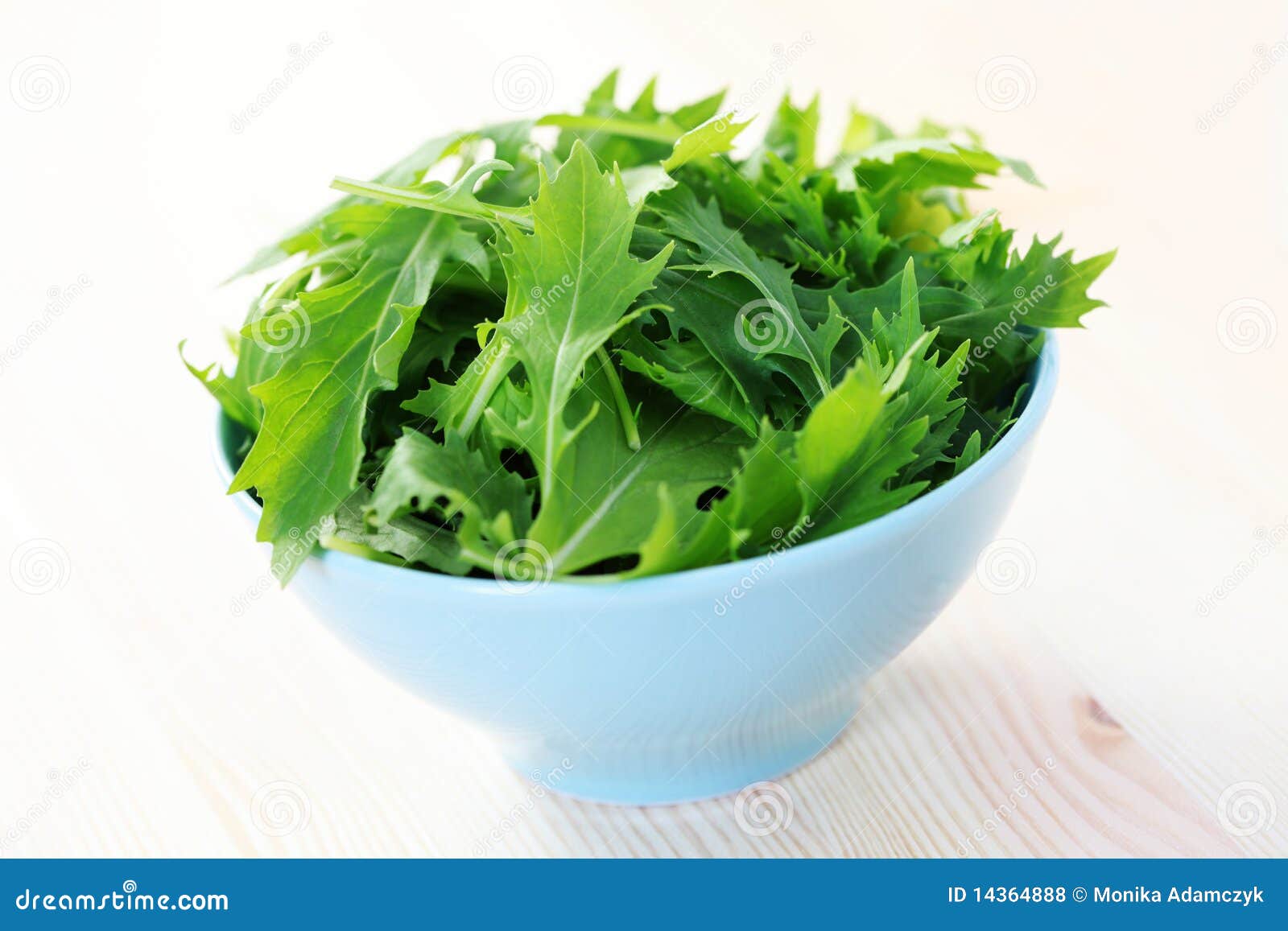 Mizuna Stock Photo | CartoonDealer.com #24976296