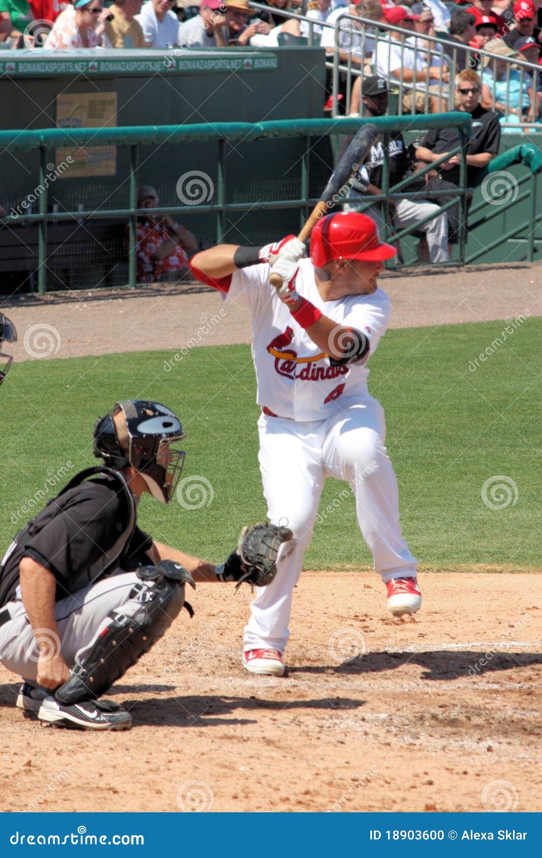 MLB St Louis Cardinals Player Editorial Image - Image of entertainment ...