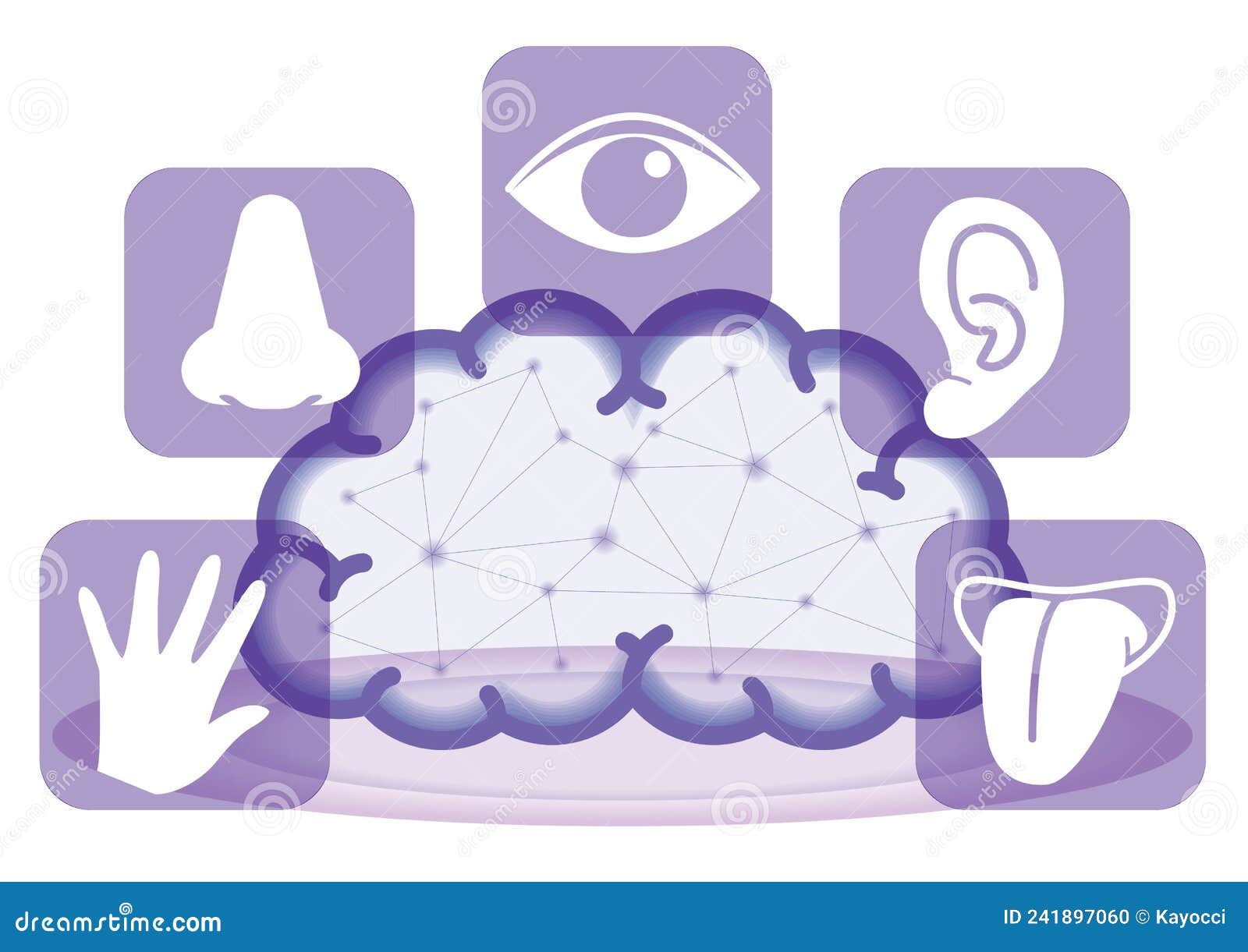 Five Senses Image and Brain - Infographics Stock Vector - Illustration ...