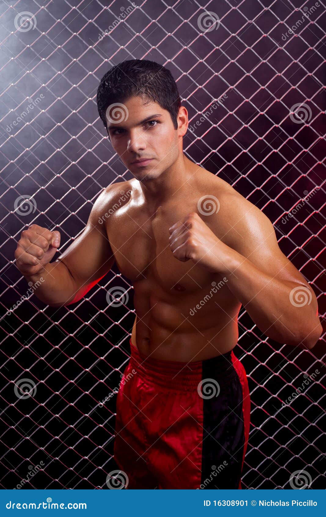 MMA stock image. Image of fighting, fighter, muscle, mixed - 16308901